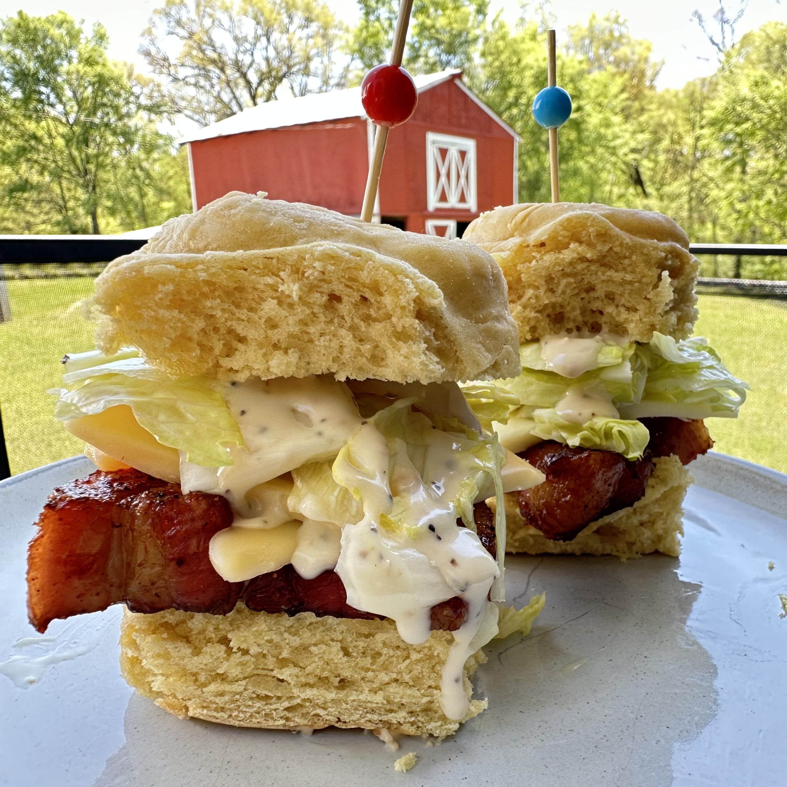 Pork Belly Sliders – Family Wellness Journal